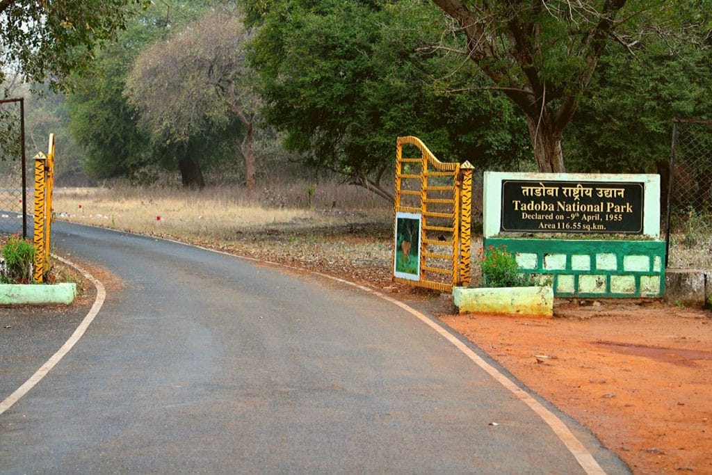 Understanding Tadoba Core & Buffer Zone - Tadoba